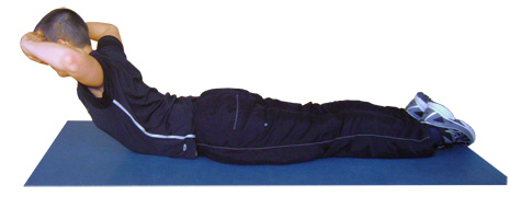 Back Extension - Fitness-Central